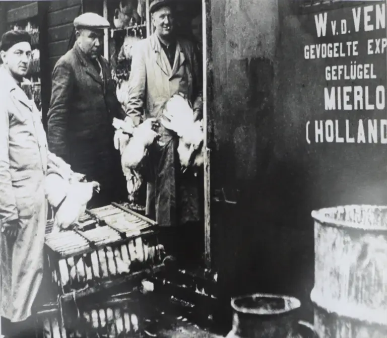 About us - Ven Poultry